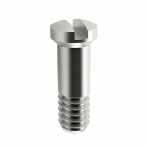 Stainless Screw for Pad Arm | Visottica Group